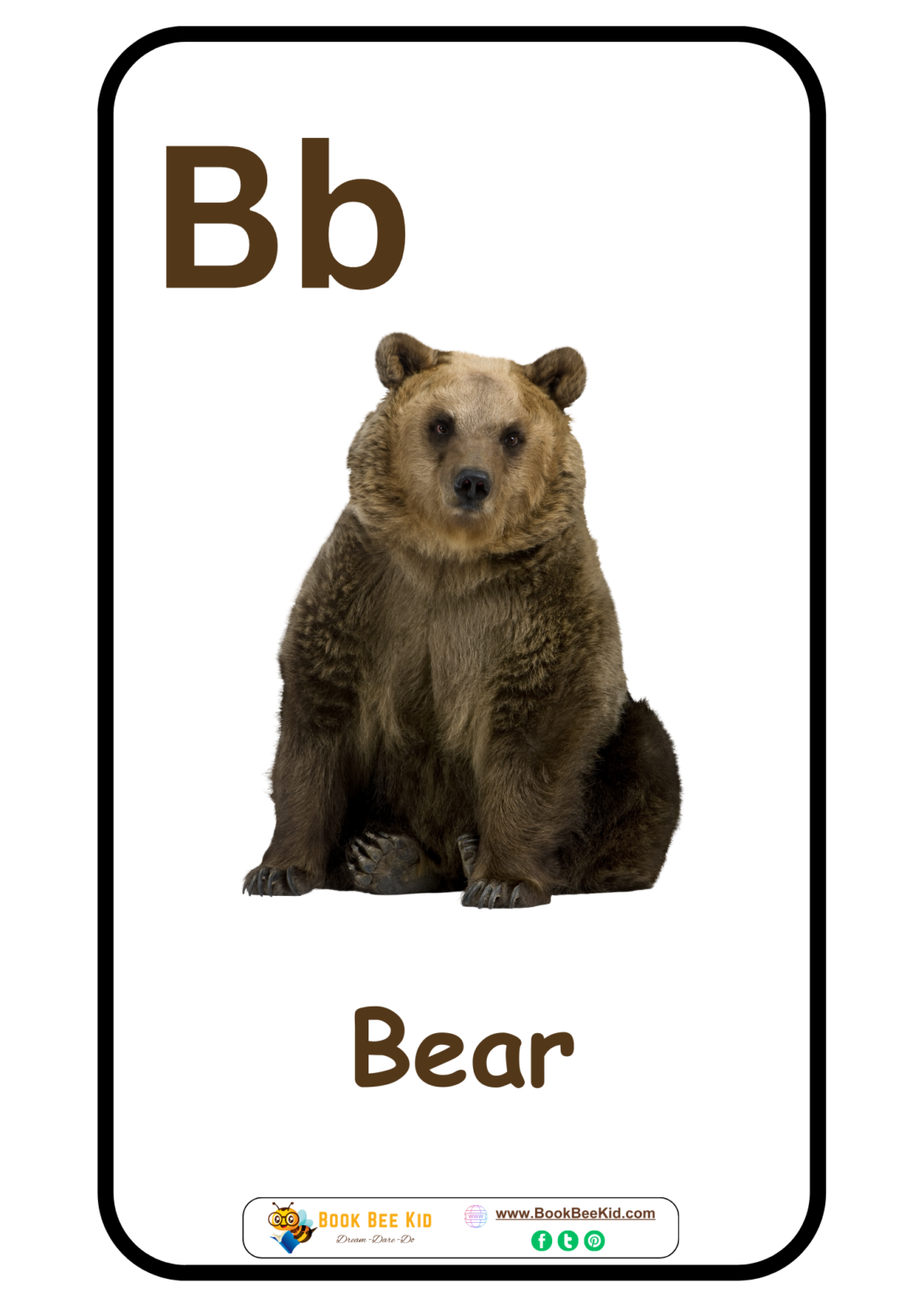KINDERGARTEN-ALPHA 01 - bookbeekid